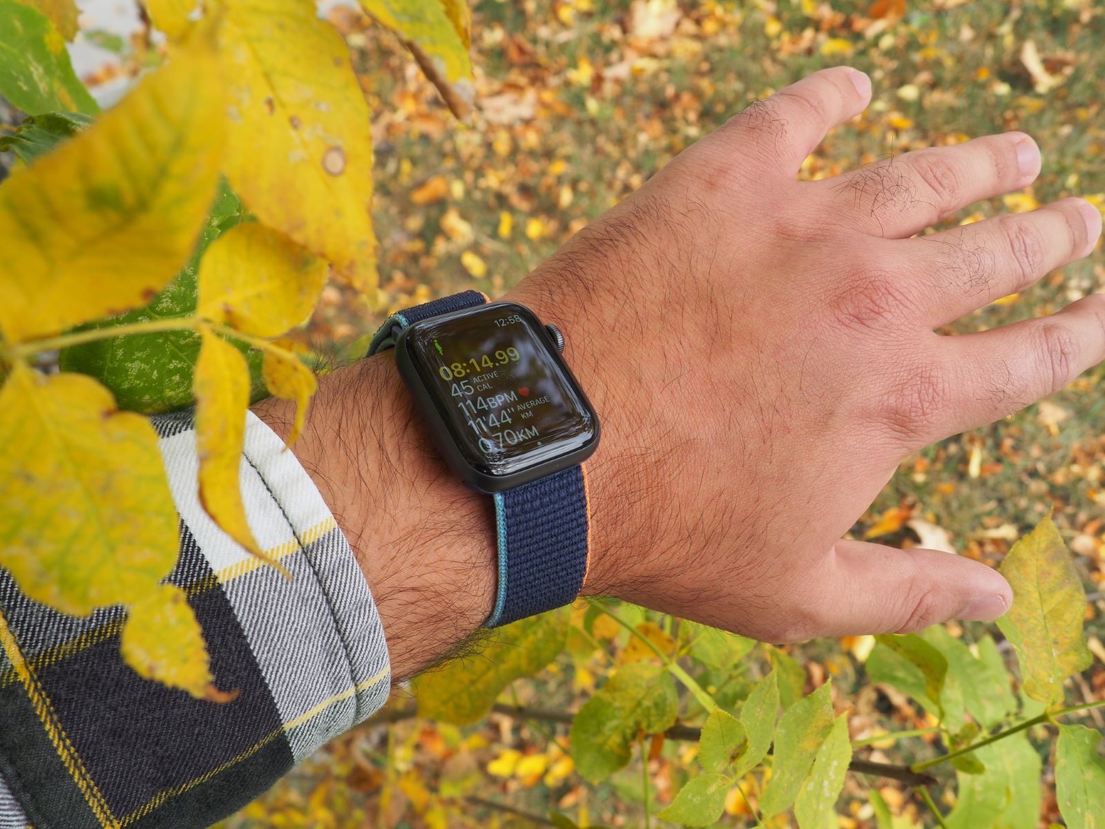 How To Edit A Workout On Apple Watch Runningshorts